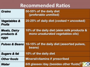 Recommended Daily Diet Ratios!
